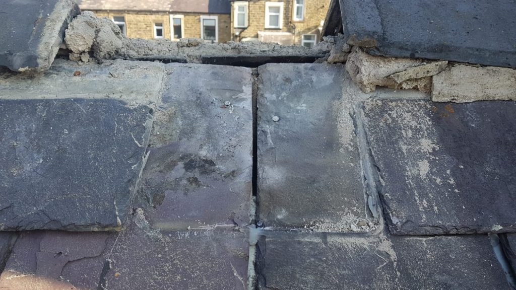 Ivy Damage to Stone Built Terrace - Heritage Property Repairs